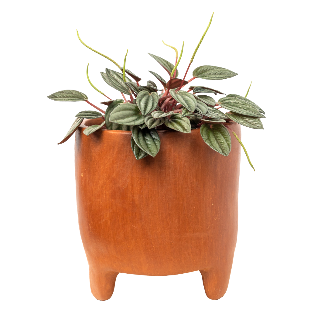 Upavim Crafts - Large Terracotta Planter | Genesis
